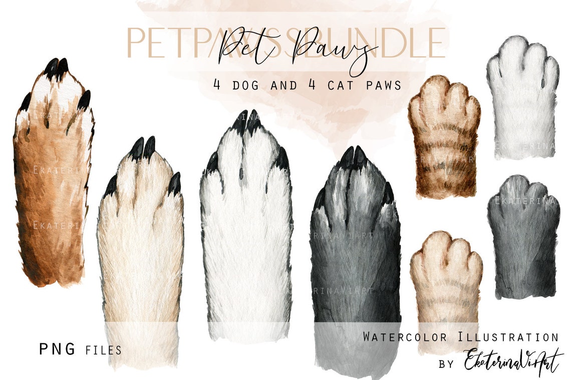 Watercolor Clipart Pt Paws Cats & Dogs Clipart Digital - Etsy