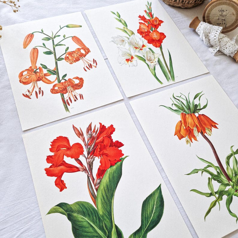 1964 Set of 4 Botanical Prints, Vintage Antique Posters, Old Floral ...