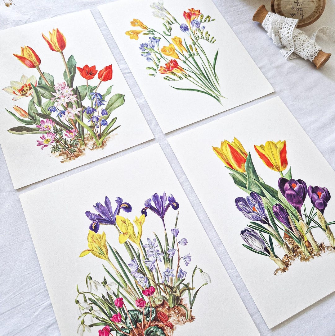 1964 Garden Flowers, Set of 4 Botanical Prints, Vintage Botanicals ...