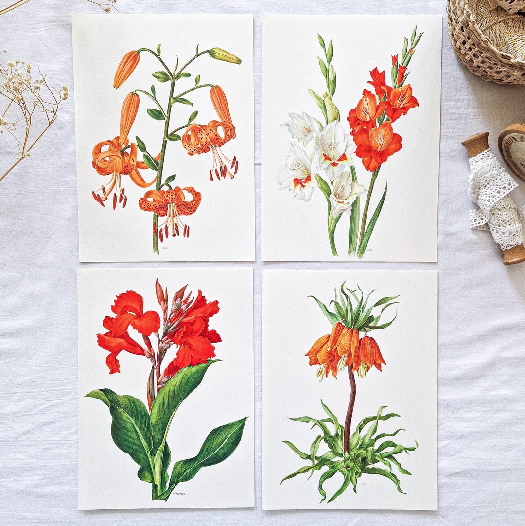 1964 Set of 4 Botanical Prints, Vintage Antique Posters, Old Floral ...