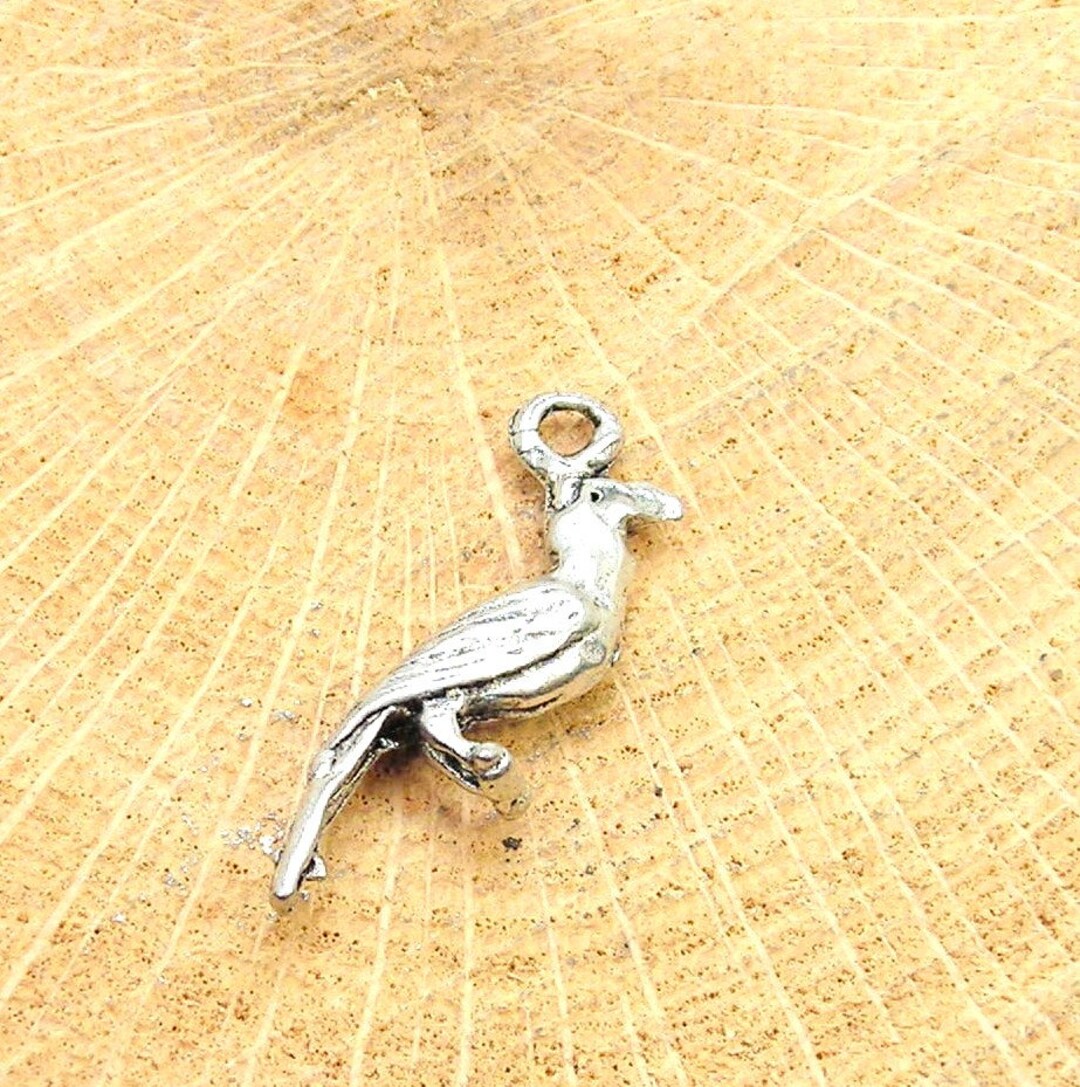 Parrot Charm Bird Watcher - Etsy