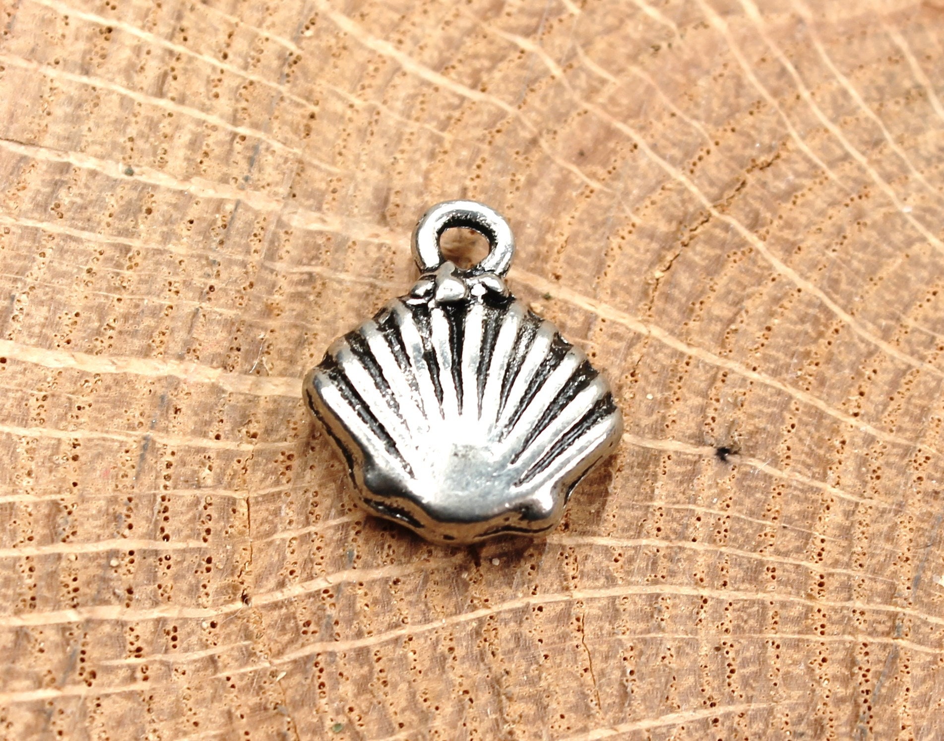 Sea Shell Charm - Etsy