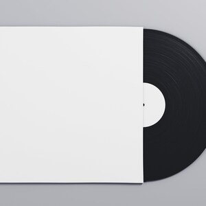 Custom 10 Inch Compilation Vinyl - Etsy