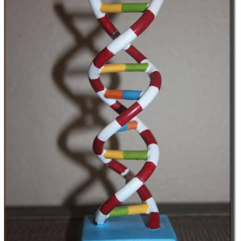 Dna Sculpture - Etsy