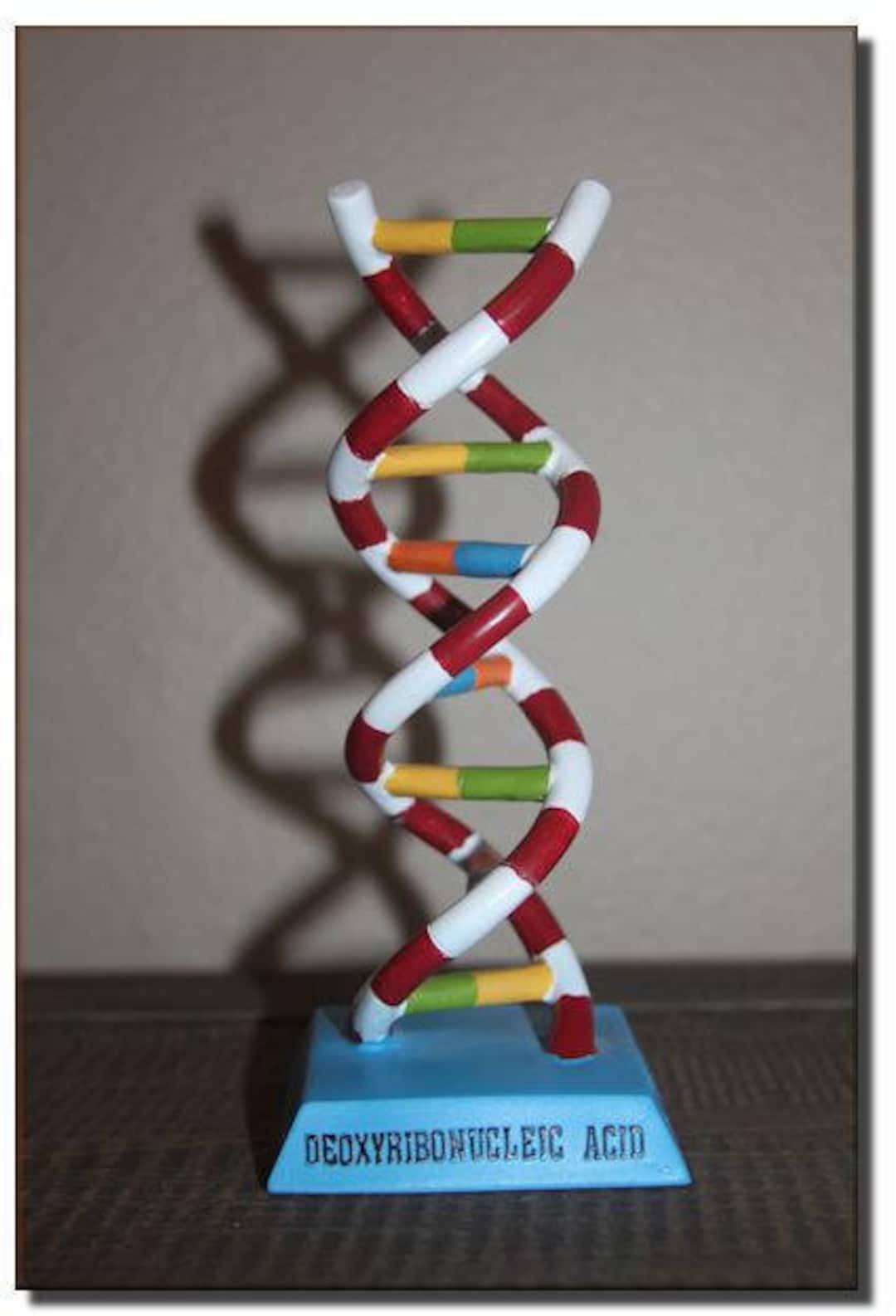 DNA Desk Statue - Etsy