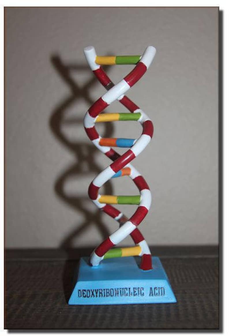 DNA Desk Statue - Etsy