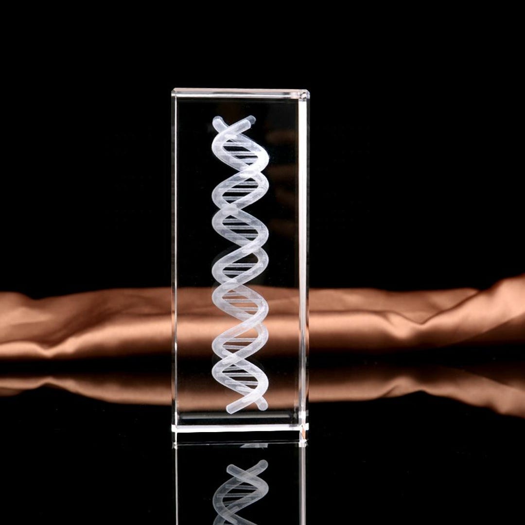 Medium DNA Crystal Cube - Etsy