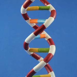 DNA Desk Statue - Etsy