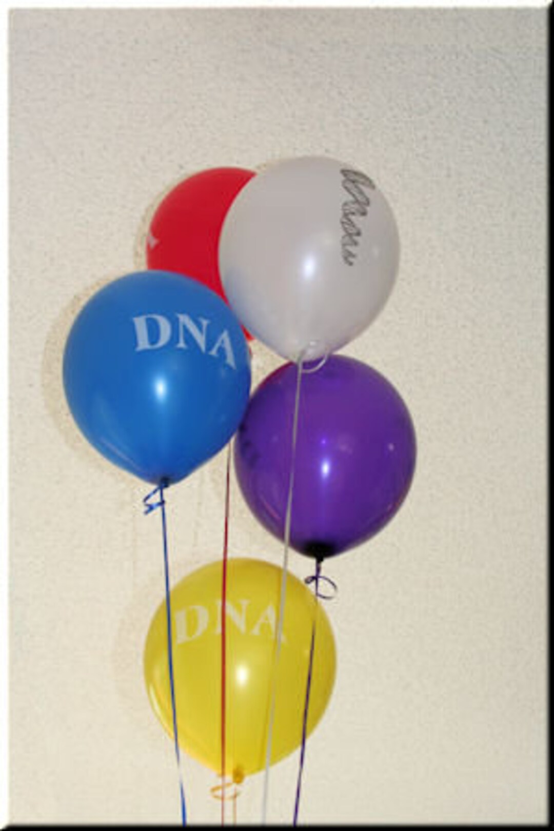 DNA Balloons: Packets of 50 - Etsy