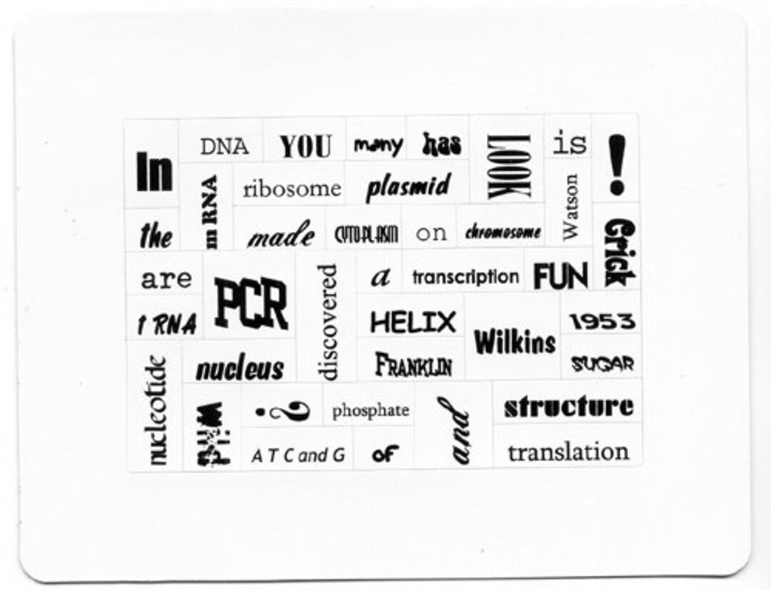 Flex Word Magnets - Etsy