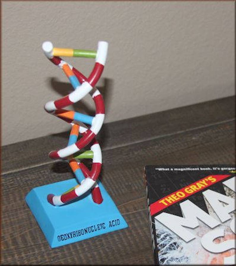 DNA Desk Statue - Etsy