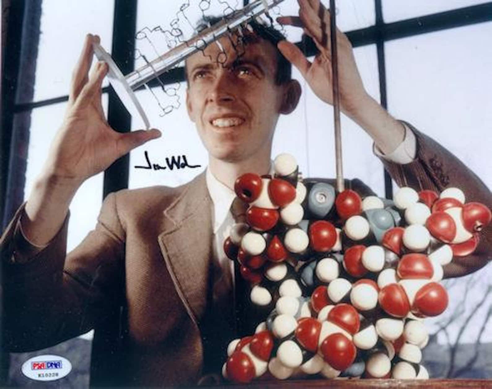 James Watson Signed Photo - Etsy