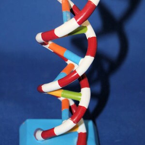 DNA Desk Statue - Etsy
