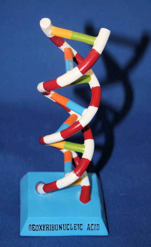 DNA Desk Statue - Etsy