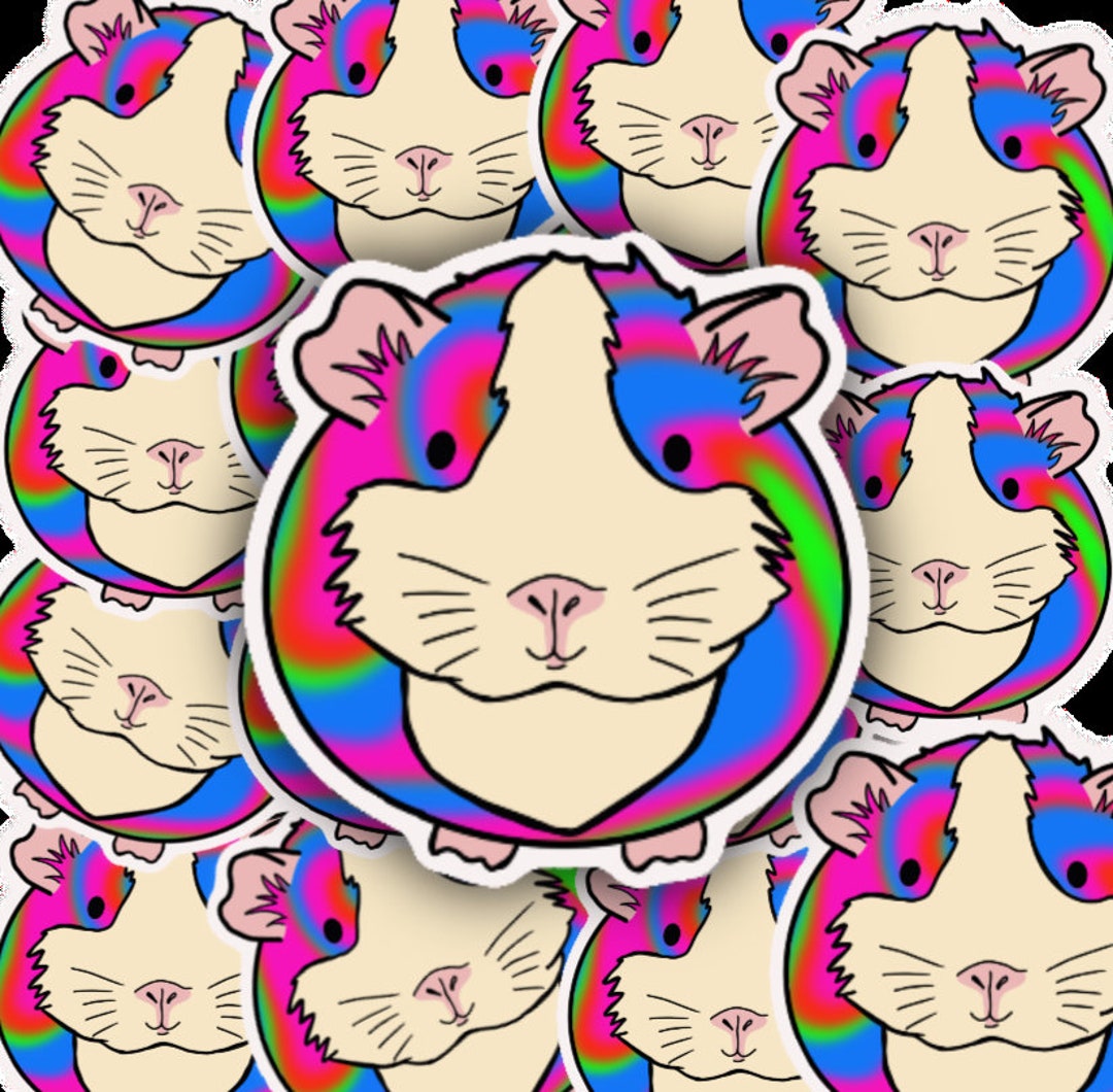 Colorful Guinea Pig Sticker: Waterproof Laptop Decal (2x2 Inches) - Etsy
