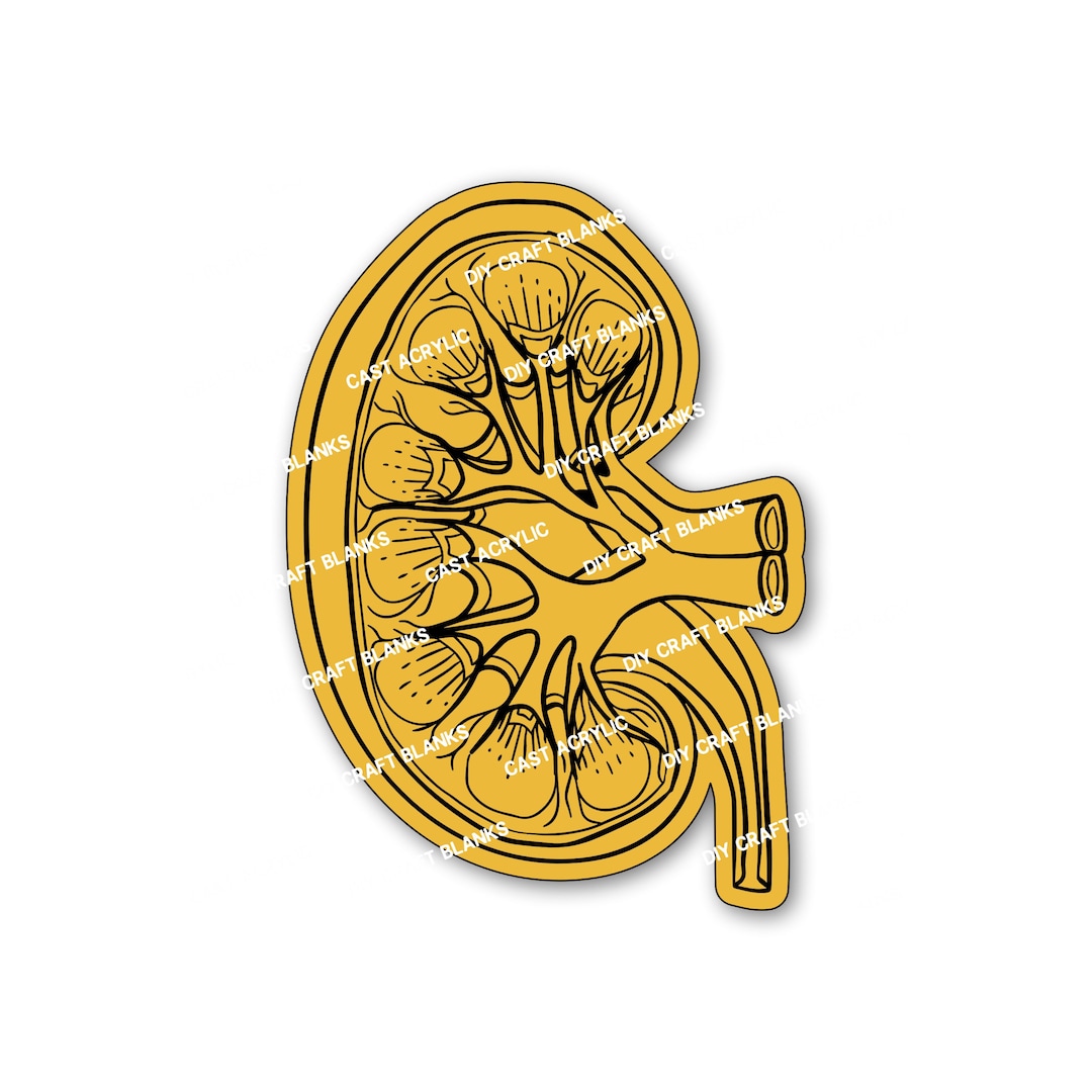 Acrylic Kidney Keychain Blank: DIY Craft, Badge Reel, Phone Grip - Etsy