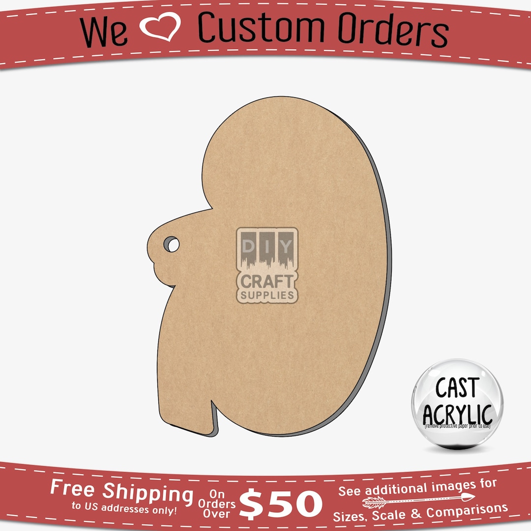 Human Kidney Keychain, Human Kidney, Kidney Acrylic Shape, Kidney Craft ...
