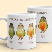 Conure Ripeness Chart Mug - Etsy