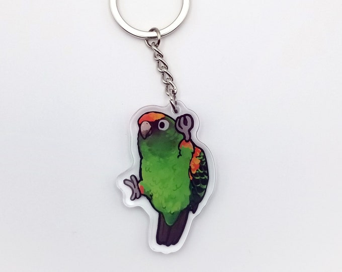 Birbber - Etsy Australia