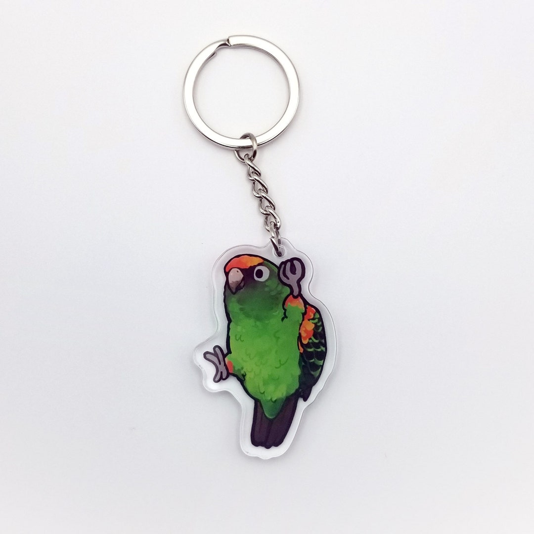 Jardine's Parrot Keychain - Etsy