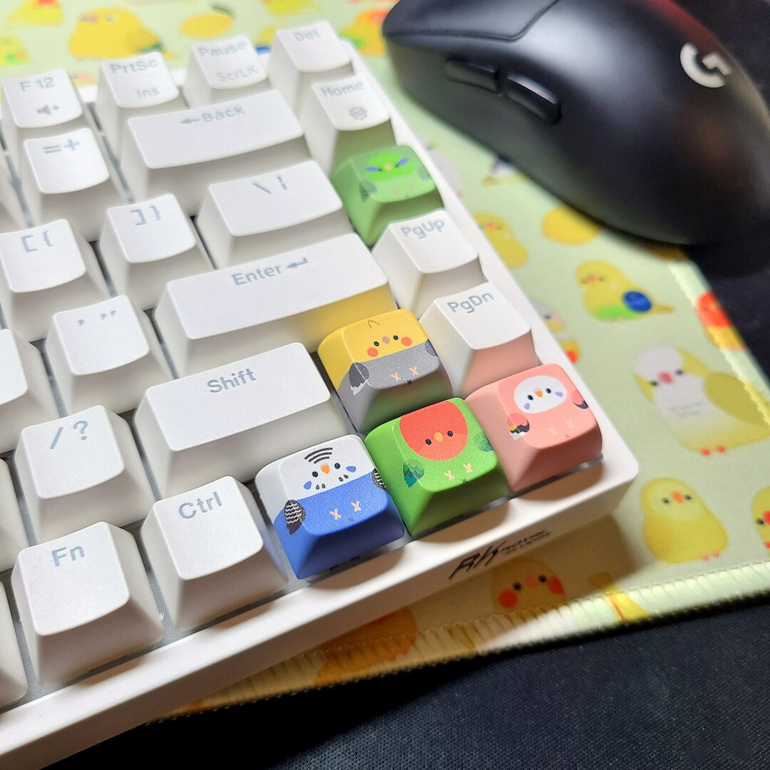 Birdy Keycaps for Mechanical Keyboard - Etsy