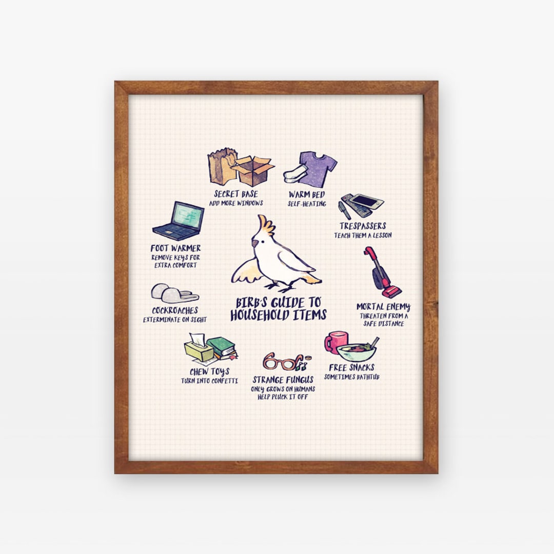 Birb's Guide to Household Items Poster - Etsy
