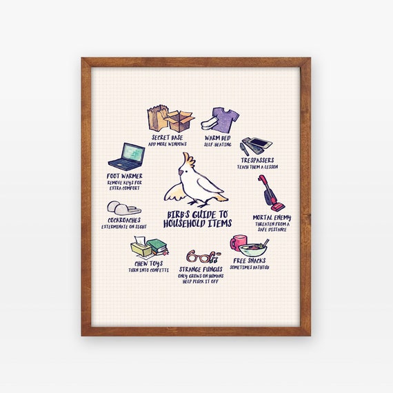 Birb's Guide to Household Items Poster - Etsy Australia
