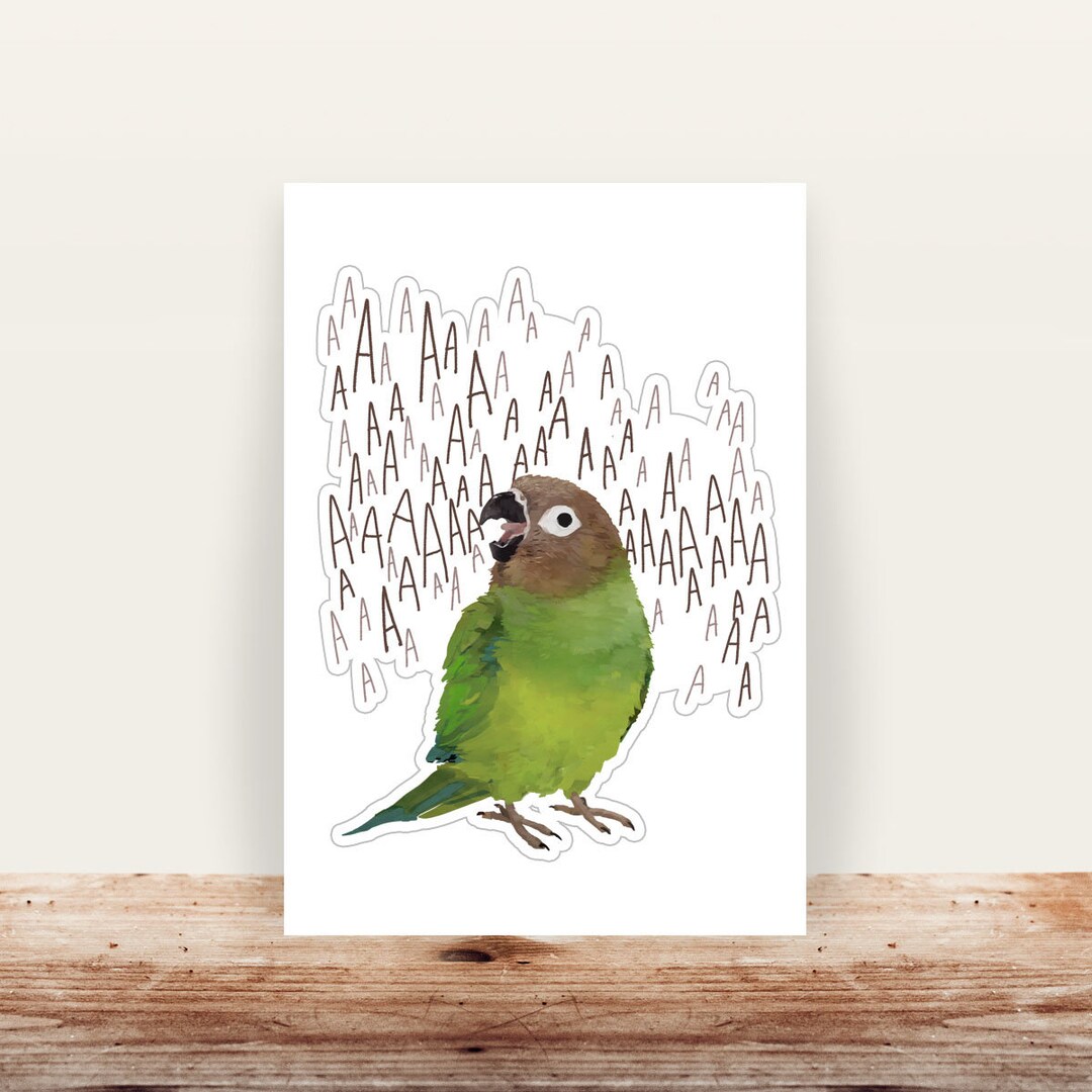 Screaming Dusky Conure Vinyl Sticker - Etsy