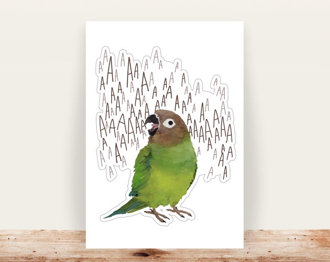 Screaming Dusky Conure Vinyl Sticker - Etsy