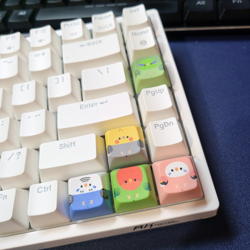Birdy Keycaps for Mechanical Keyboard - Etsy