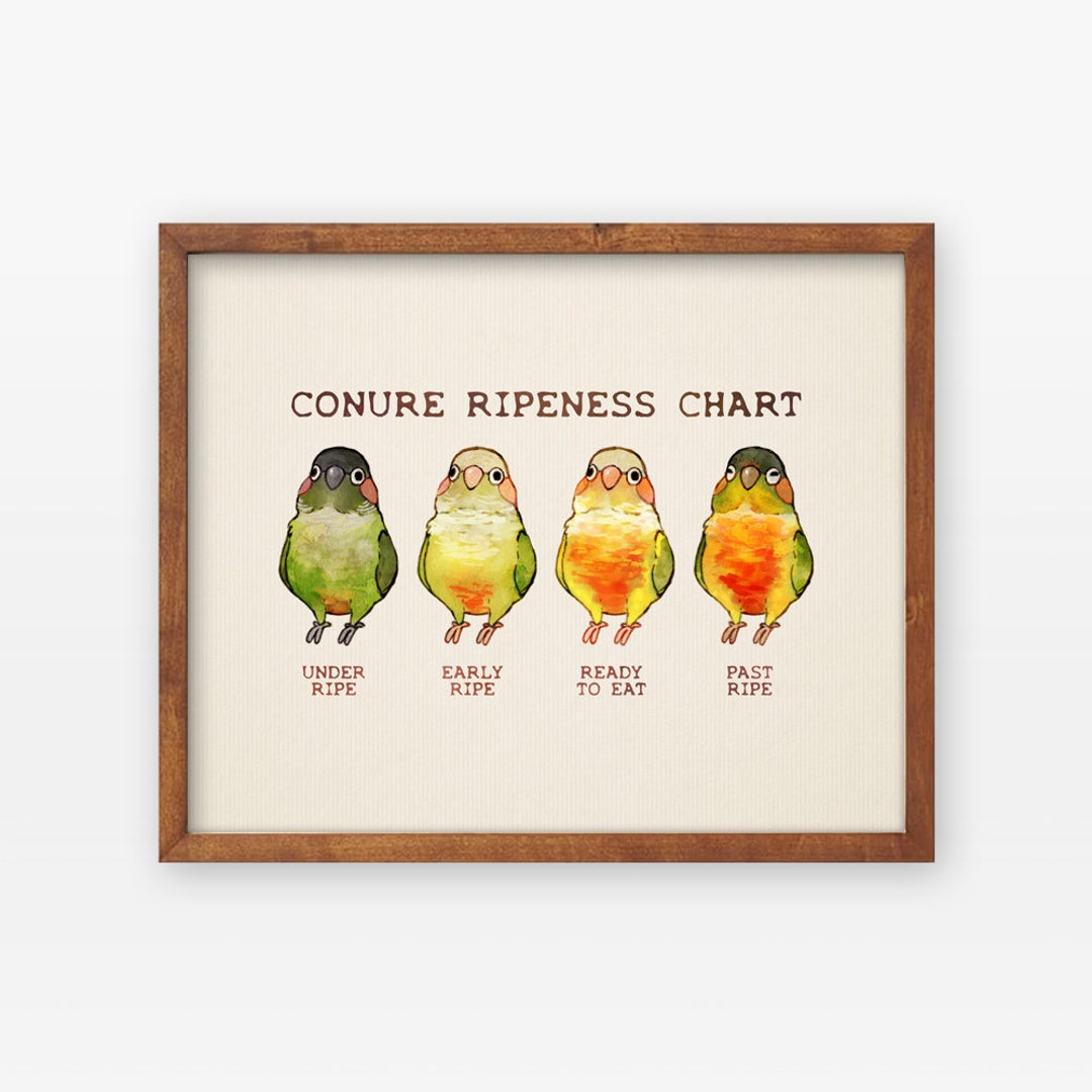 Conure Ripeness Chart Poster - Etsy