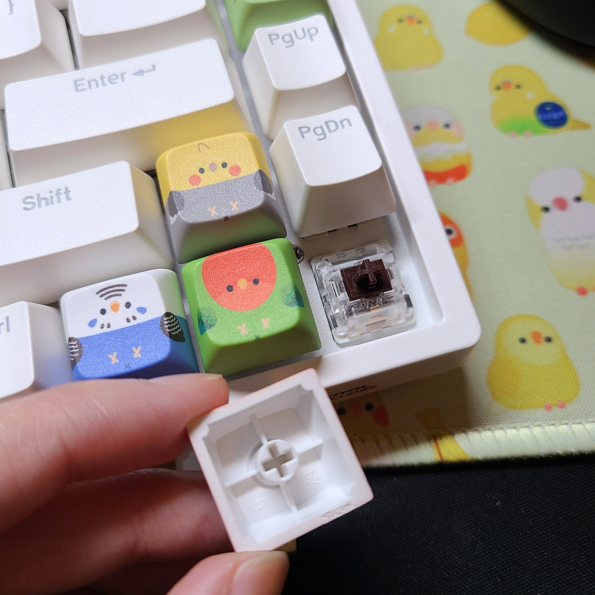 Birdy Keycaps for Mechanical Keyboard - Etsy