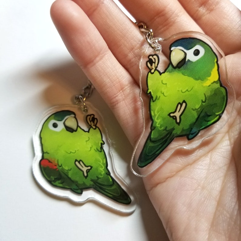 Dangling Mini Macaw Keychain (hahn's & Yellow-collared Macaw) - Etsy