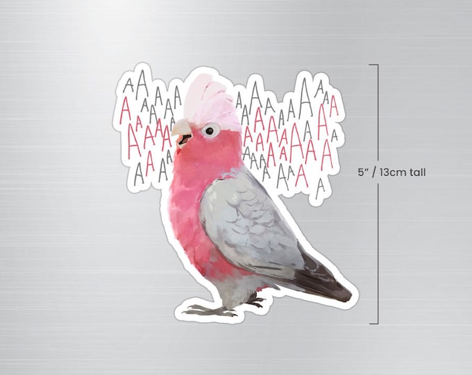 Birbber - Etsy Australia