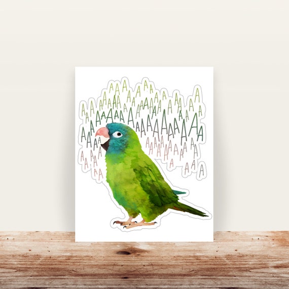 Screaming Blue-crowned Conure Vinyl Sticker | Etsy