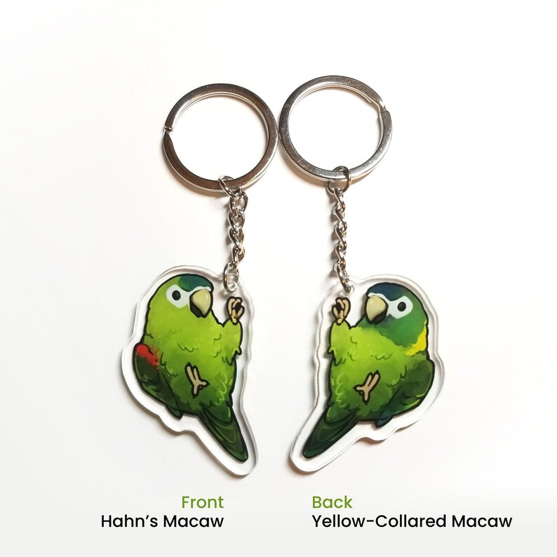 Dangling Mini Macaw Keychain (hahn's & Yellow-collared Macaw) - Etsy