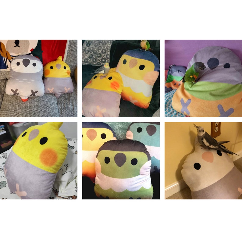 Birb Seat Pillow Case stuffing is Not Included You Need to - Etsy