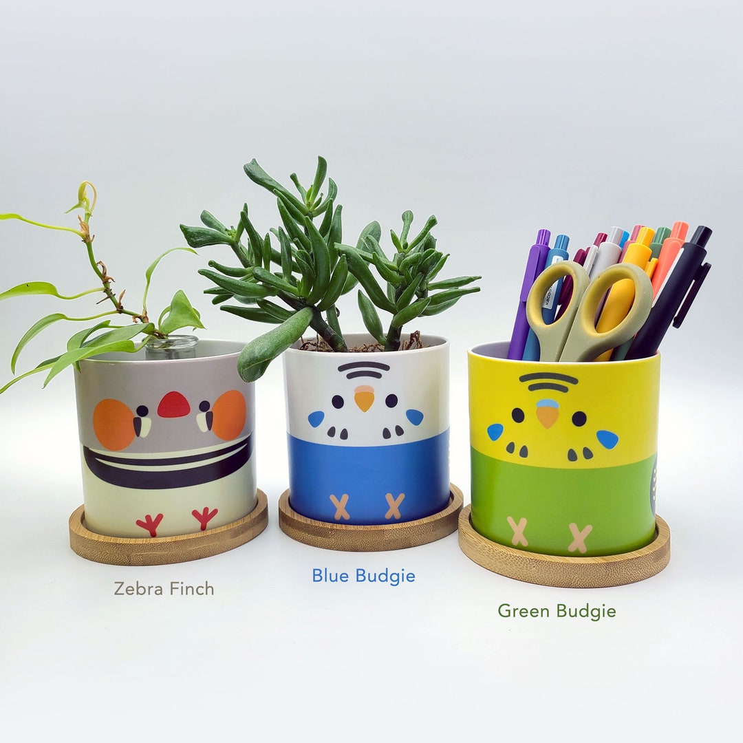 Set of 2 Bird Mini Planters / Pencil Holders - Etsy