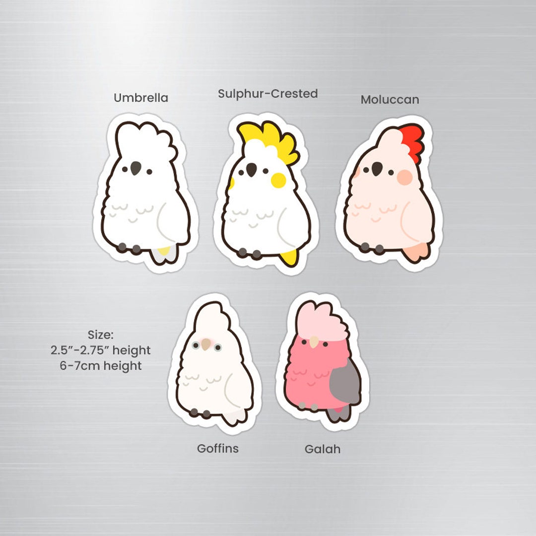 Little Cockatoo Sticker - Etsy
