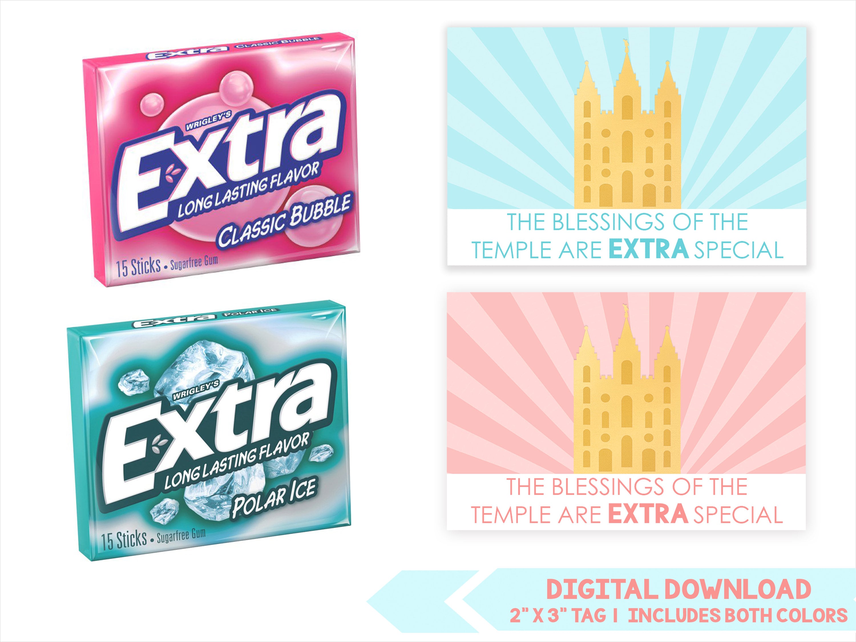 Temple Blessing Tag, Temple and Priesthood Preview, YW, YM, Primary ...