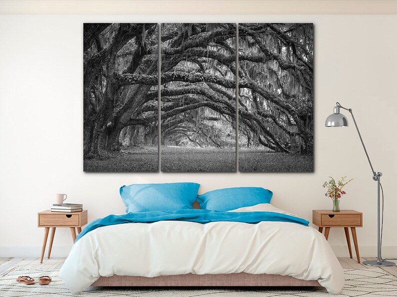 Big Oak Canvas Forest Wall Art Nature Canvas Live Oak Tree - Etsy
