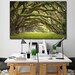 Big Oak Canvas Forest Wall Art Nature Canvas Live Oak Tree - Etsy