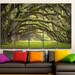 Big Oak Canvas Forest Wall Art Nature Canvas Live Oak Tree - Etsy