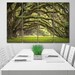 Big Oak Canvas Forest Wall Art Nature Canvas Live Oak Tree - Etsy