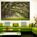 Big Oak Canvas Forest Wall Art Nature Canvas Live Oak Tree - Etsy