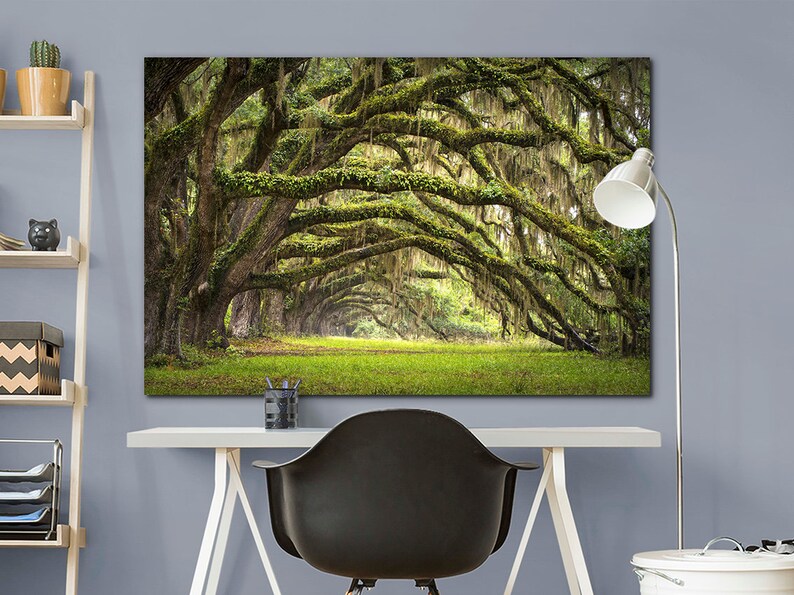 Big Oak Canvas Forest Wall Art Nature Canvas Live Oak Tree - Etsy