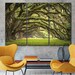 Big Oak Canvas Forest Wall Art Nature Canvas Live Oak Tree - Etsy