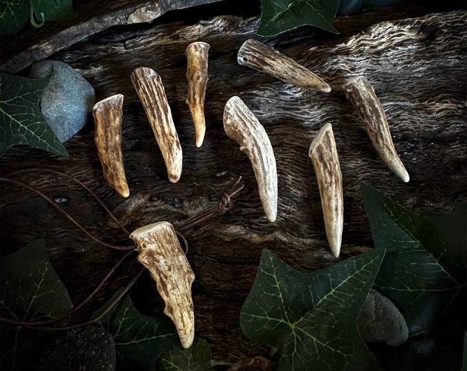 Antler Spike Pendant - Dark/rough Texture - Etsy