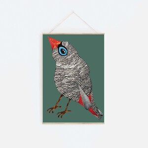 Franklin the Firetail Finch / Art Print / Wall Art - Etsy