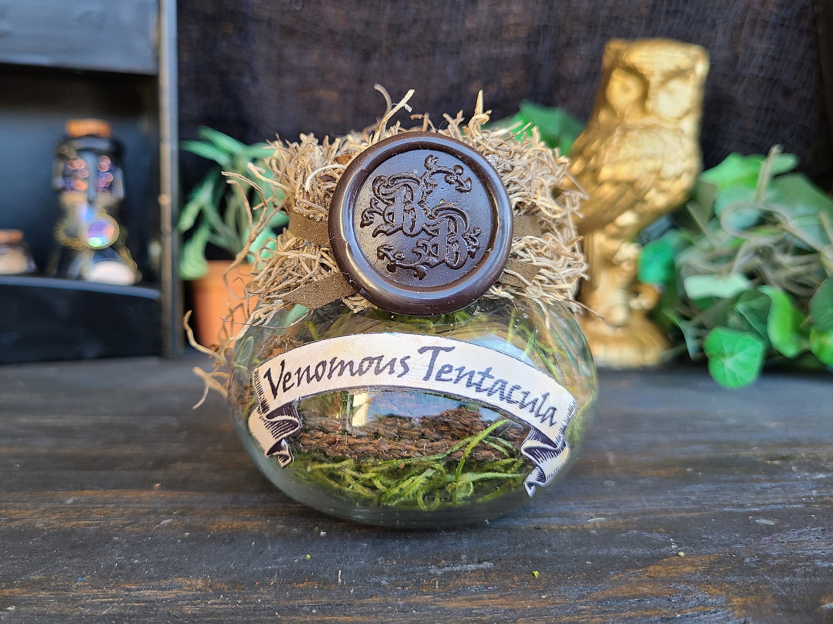 Venomous Tentacula Magic Potion Ingredient Dangerous Plants - Etsy